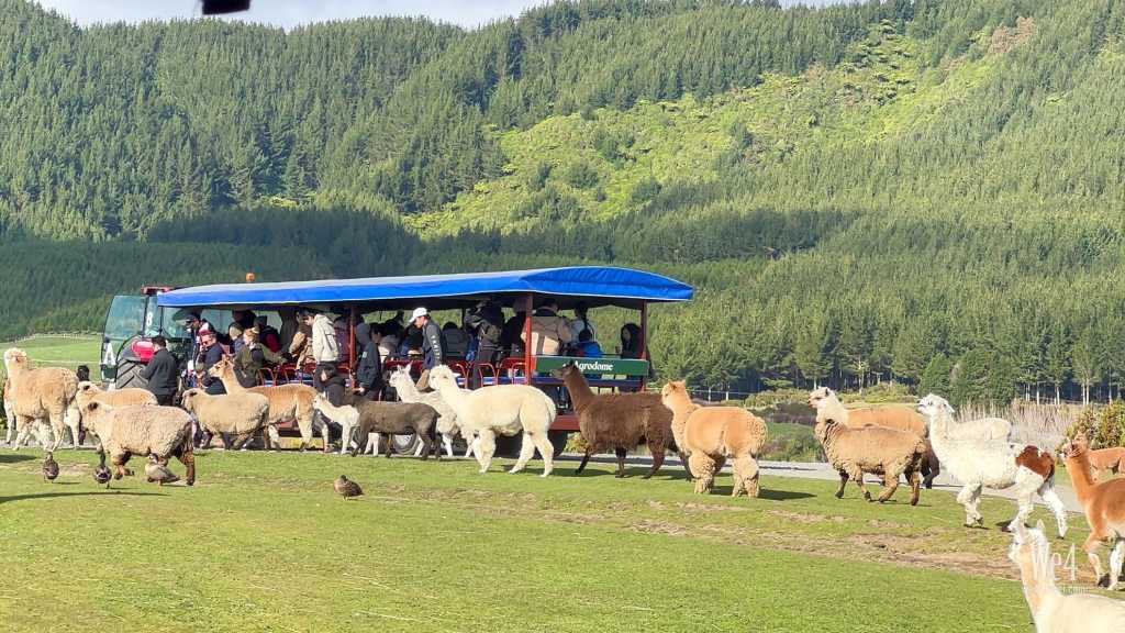 【新西蘭旅遊】北島景點地圖～10天9夜攻略遊記｜螢火蟲洞、火山、雪山湖景｜景點/住宿/預算 - We4 Travel 旅遊日常